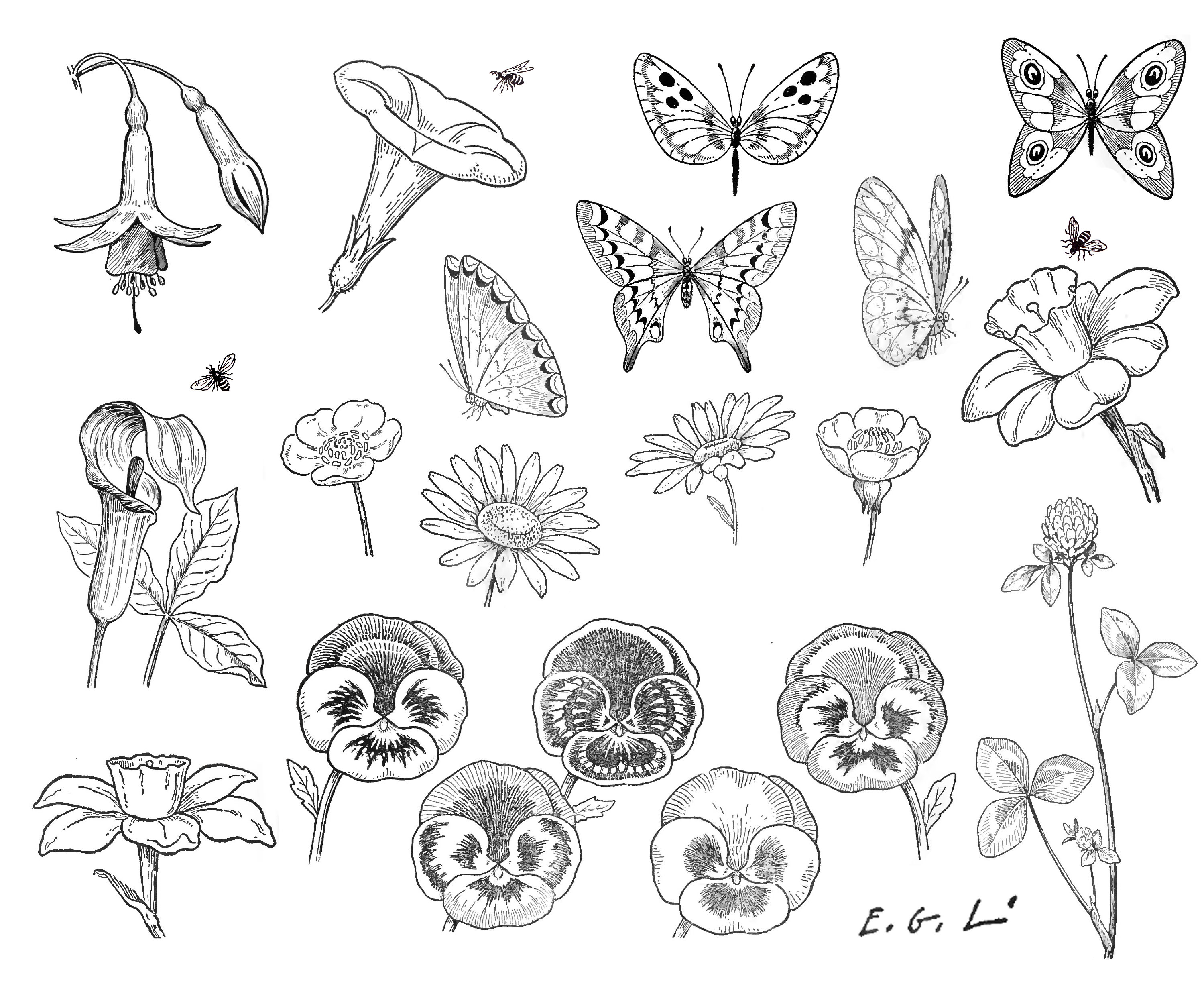 Drawing Made Easy – Illustrating Edwin